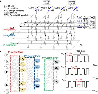 Frontiers | Neuromorphic Computing Using NAND Flash Memory Architecture With Pulse Width ...